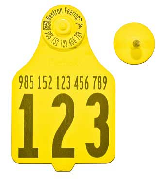 Combo e.Tag Set Large